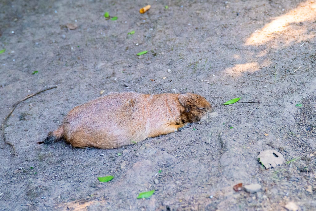 As a mostly ad-hoc'er, I've got workflow issues